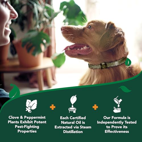 Vet's Best Flea and Tick Repellent Collar for Dogs - Flea and Tick Prevention for Dogs - Plant-Based Ingredients - Small to Large Dog Flea Collar - Up to 20β Neck Size