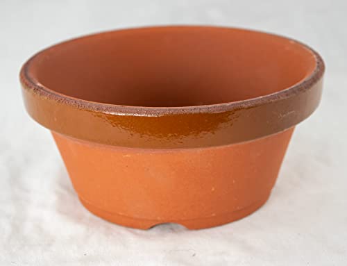 Japanese Tokoname Bonsai Training Pot, Cactus & Succulent Planter with Mesh - 5"x 5"x 2.25"