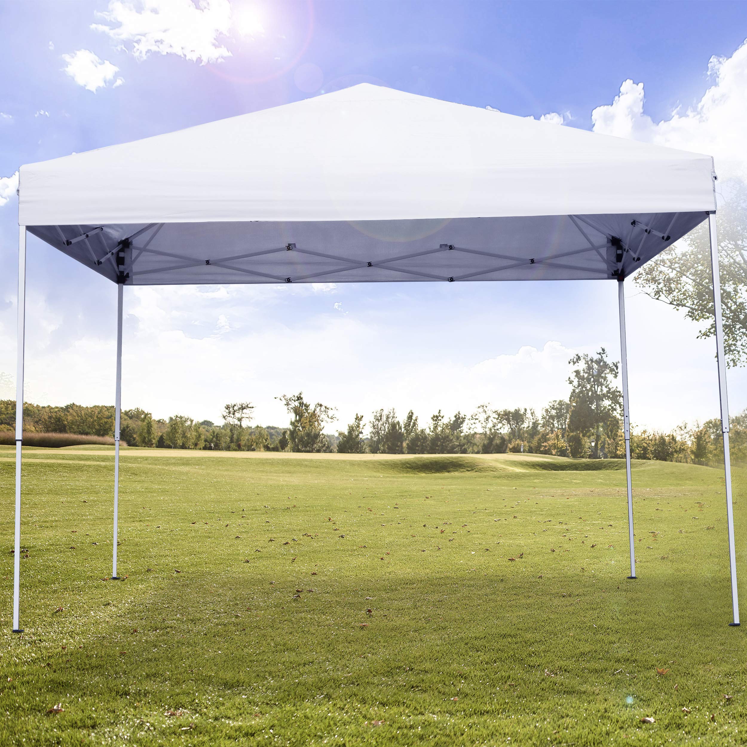 F2C 10x10 FT Pop Up Canopy Tent, Foldable Adjustable Outdoor Waterproof Sun Protection Shelter with Wheeled Carry Bag for Camping Picnic Wedding Party (Gray)