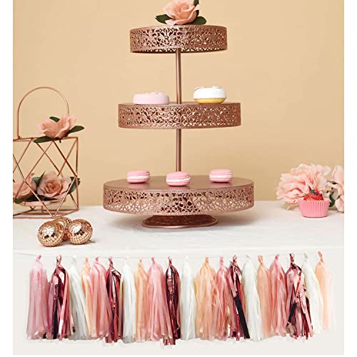 Rose Gold Tissue Paper Tassels Garland Banner for Party Birthday Wedding Decoration Baby Shower Table Decor (20 Pcs)