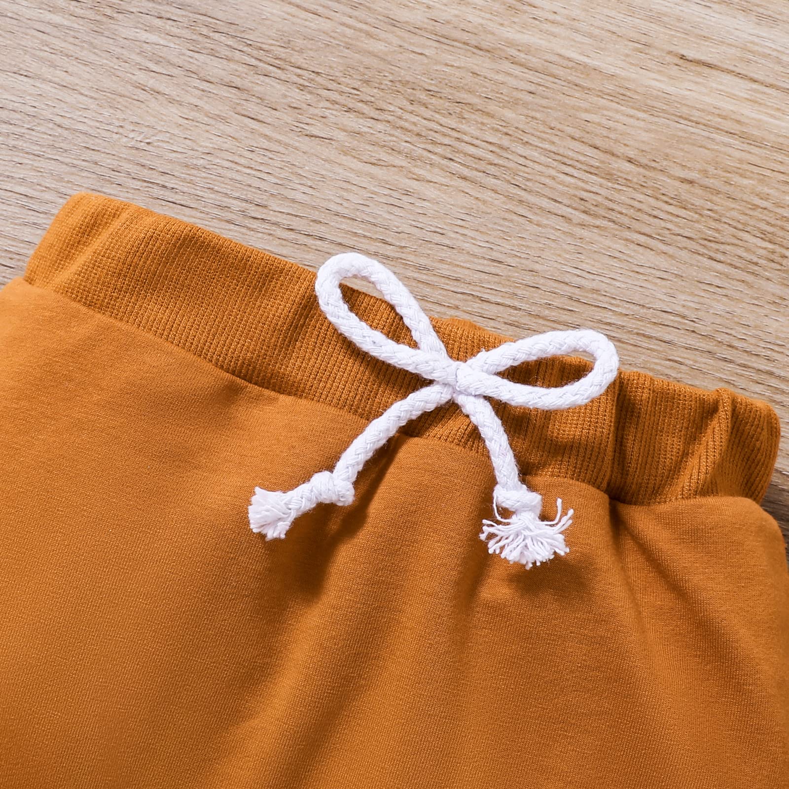 Infant Baby Girl Fall Winter Outfits Long Sleeve Sweatshirt Flower Print Pullover Top+ Elastic Waist Pants 2Pcs Set (Brown-Wildflower, 6-12 Months)