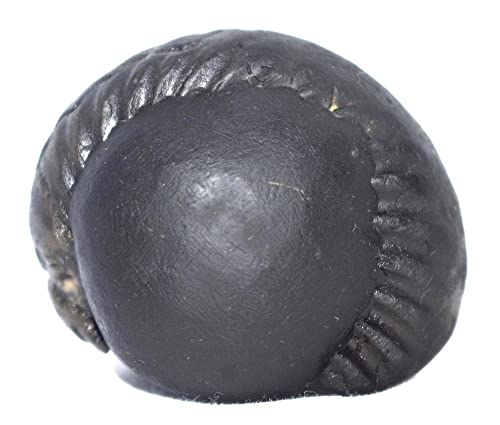Rudrakshguru Wooden Bhuvaneshwari Shaligram (Black, 2.50 x 2-inch)