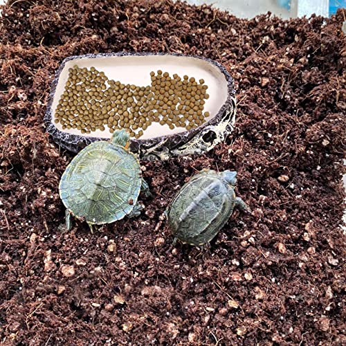 Tfwadmx Reptile Water Bowl Reptile Rock Food Dish Reptile Feeder Food and Water Feeding Bowl for Lizard Bearded Dragon Turtle Frog Leopard Gecko Snake Chameleon