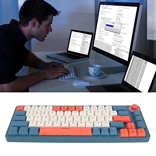 Janzoom 67 Keys Mechanical Keyboard, Comfortable Touch Stylish Gaming Keyboard LK67 RGB Light Effect 2.4GHz Wireless Blue for Work for Gaming