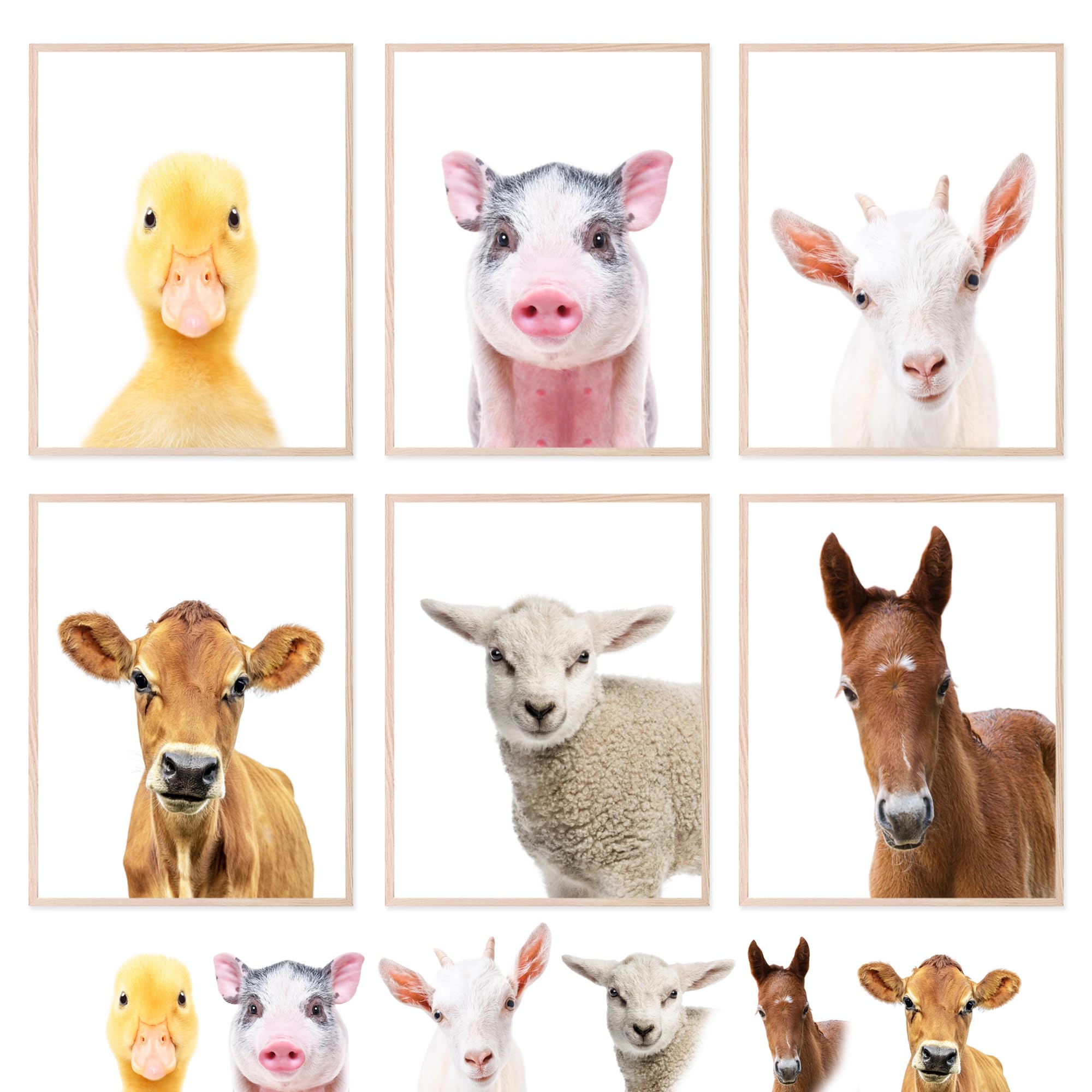 Insire Baby Animal Prints for Nursery, Baby Animal Pictures for Nursery, Farm Animal Pictures Wall Decor, Farm Animal Wall Decor, Farm Animal Pictures, Farm Animal Nursery Decor - (8x10 Unframed)