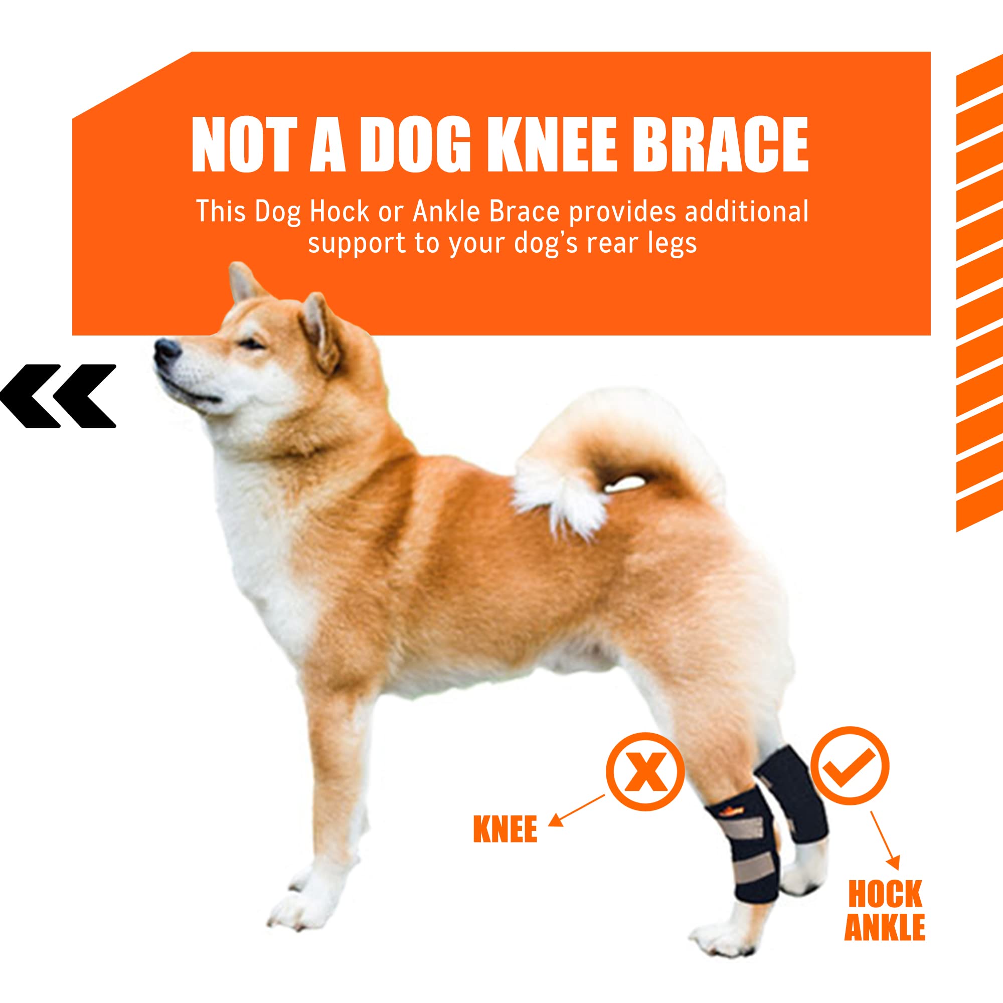 NeoAlly - Short Rear Leg Hock Brace, Dog Leg Brace for Rear Leg, Hock & Ankle Support, Dog Brace for Torn ACL & CCL, Dog Leg Sleeve with Reflective Straps, Small, Black, 1 Pair