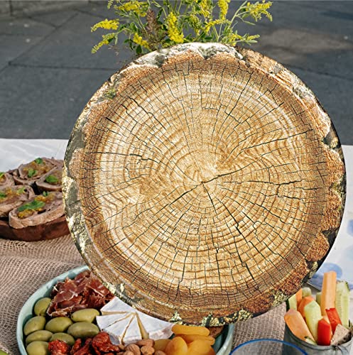 Havercamp Cut Timber 10" Party Plates (24 plates)! 24 Lg. Round Dinner Paper Plates from the Cut Timber Party Collection.