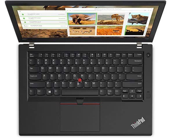 Lenovo ThinkPad T480 14" HD Business Laptop, Intel Core i5-8350U, 16GB DDR4 RAM, 960GB SSD, Fingerprint, Backlit Keyboard, CAM, Windows 10 Pro 64-bit (Renewed)