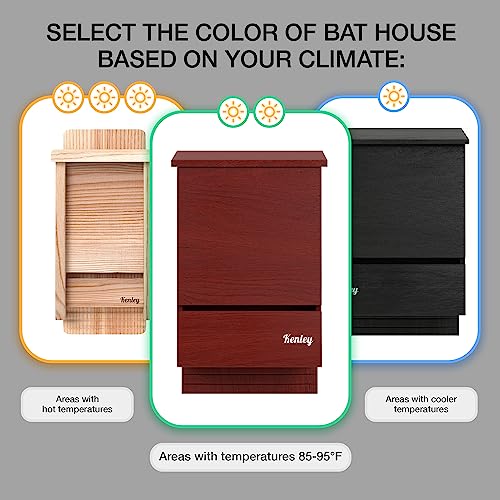 Kenley Bat House - Large Bat Box for Outside with Double Chamber - Handmade from Cedar Wood - Weather Resistant Bat Houses for Outdoors - Roosting Bat Boxes Designed to Attract Bats - Easy to Install