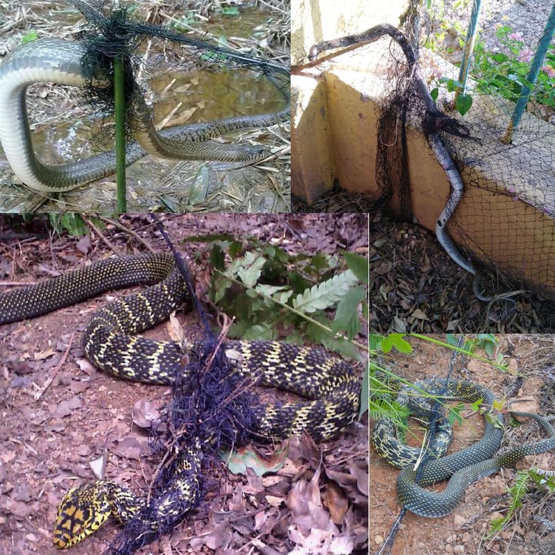 Snake Trap Anti Snake Netting Effectively Prevents Snakes from Entering The Home Suitable for All Types of Snakes Easy to Place (Small)