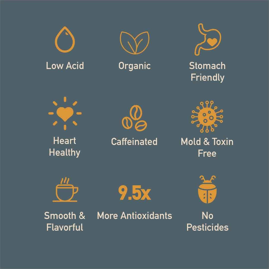 Healthy Bean Coffee - Low Acid Coffee, Superfood Infused Whole Bean Coffee, USDA Organic, Mycotoxin Free, Semi-Dark Roast, 10oz