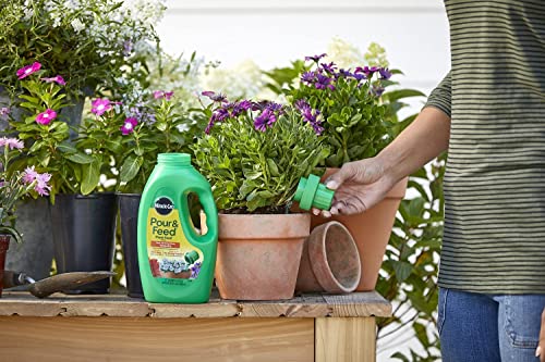 Miracle Gro 1006002 32 Oz Pour & Feed Liquid Plant Food 0.02-0.02-0.02