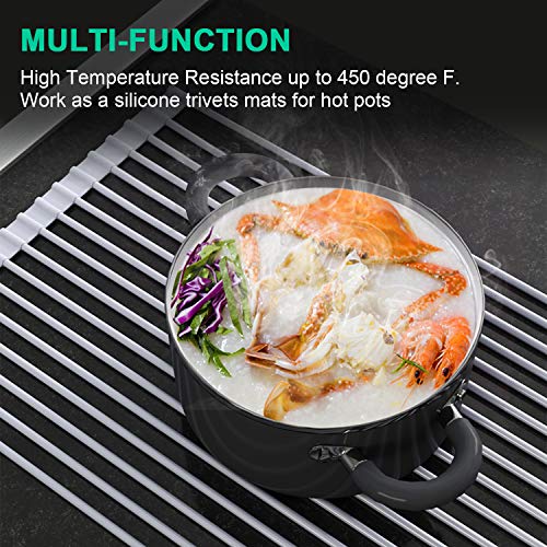 TBMax Roll Up Dish Drying Rack, Food-Grade Silicone-Coated Stainless Steel Over The Sink Rack, Heavy Duty Roll Up Sink Drying Rack