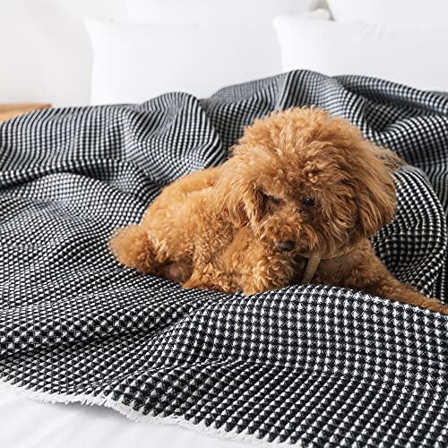 R.SHARE Soft Knit Waffle Throw Blanket for Couch Bed with Tassel, Thin Knitted Lightweight Cozy Woven for Sofa Travel, Cute Women Men, Big Twin Size, 60x80 inches, Black and White