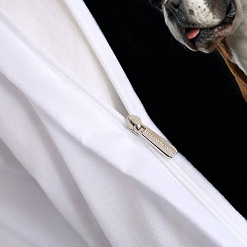 Quilt Cover Twin Size German Boxer Dog 3D Bedding Sets Animal, Dog Duvet Cover Breathable Hypoallergenic Stain Wrinkle Resistant Microfiber with Zipper Closure,beding Set with 2 Pillowcase