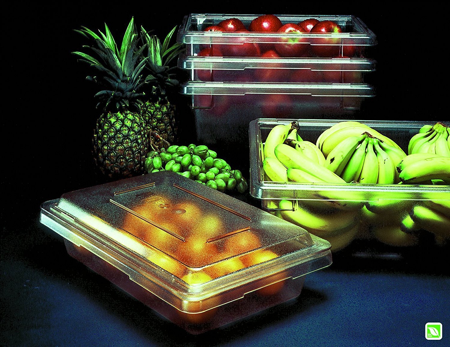 Rubbermaid Commercial Products Polycarbonate Food Storage Box/Tote, 5 Gallon, Clear, for Restaurant/Kitchen/Cafeteria