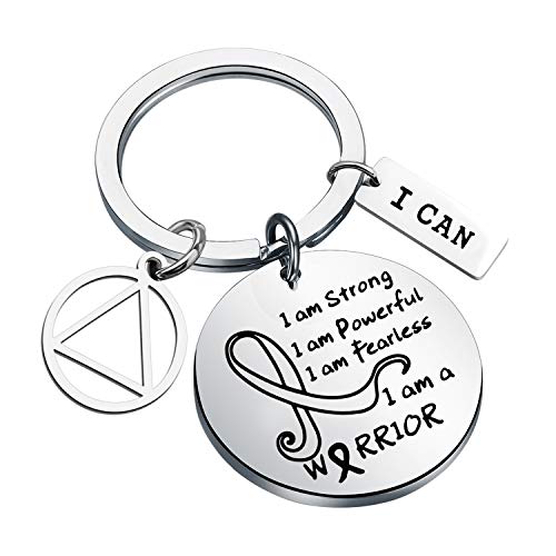 FUSTMW Addiction Recovery Gift Alcoholics Anonymous Keychain Sobriety Gift AA Jewelry for Warrior Sober Inspiration Gifts (AA warrior keychain)