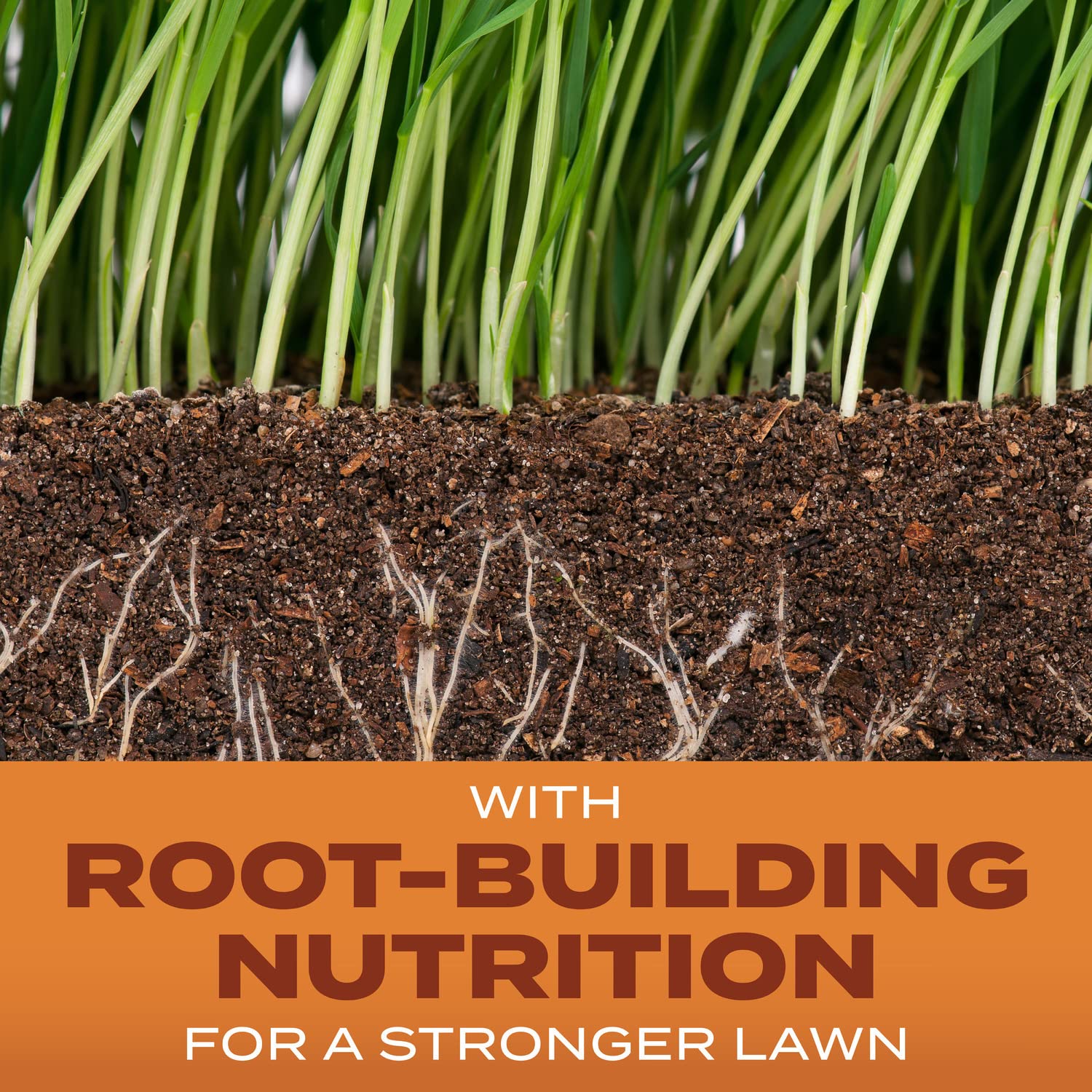 Scotts Turf Builder Grass Seed Bermudagrass with Fertilizer and Soil Improver, Drought-Tolerant, 8 lbs.