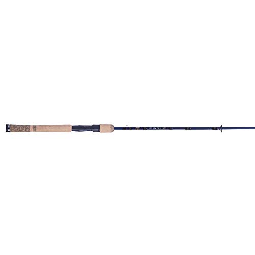 Fenwick Eagle Travel Spinning Fishing Rod