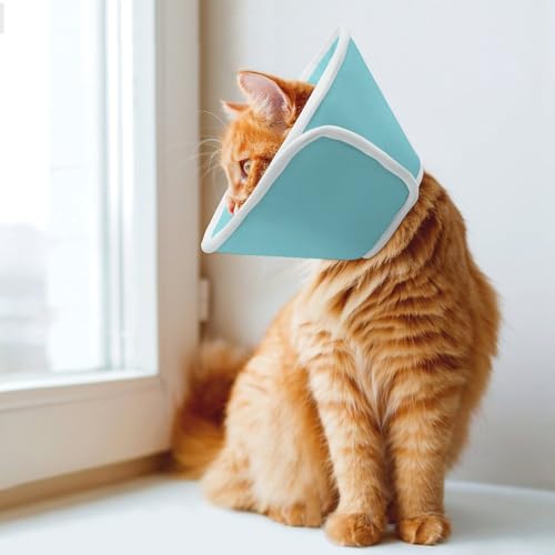 Seahorse Unicorn Fantasy Comfortable Dog Cone Cat Collar Adjustable Prevent from Licking Wounds M