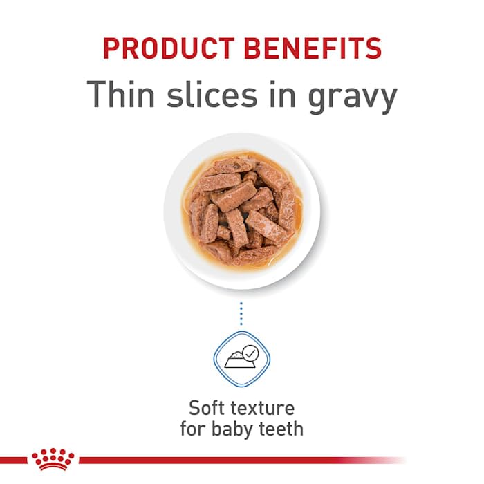 Royal Canin Size Health Nutrition Large Thin Slices in Gravy Wet Puppy Food, 13 oz., Case of 12