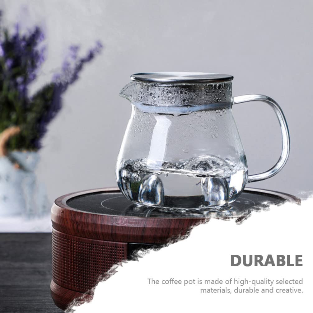 HEMOTON Microwave Tea Kettle Glass Teapot with Stainless Steel Infuser Stovetop Safe Tea Kettle Microwave Dishwasher Safe Tea Pot Loose Leaf Tea Maker 460ml Tea Pot (EI633HAD355QB015T), 15X10X9CM