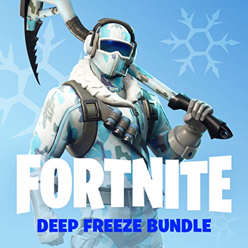 Warner Bros Fortnite: Deep Freeze Bundle - Xbox One