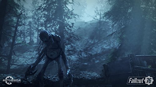 Fallout 76 (PS4)