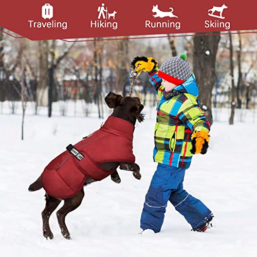 ROZKITCH Extra Warm Dog Coat Reflective Adjustable Dog Jacket Dog Winter Coat with Buckle Fleece Turtleneck Dog Jacket for Cold Weather Soft Winter Coat for Small Medium Extra Large Dogs