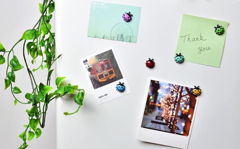 HLLMX 12 PCS Cute Ladybug Refrigerator Magnets Kitchen Magnets Office Magnets for Kitchen School Classroom, Locker Magnets for Kids Boys Girls, Home Decoration Photos