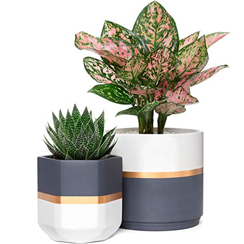 Mkono Ceramic Flower Pots for Indoor Plants 6 Inch and 4.8 Inch Modern Decorative Planters, Set of 2 Geometric Gardening Pots with Drainage for All House Plants (Plants NOT Included)
