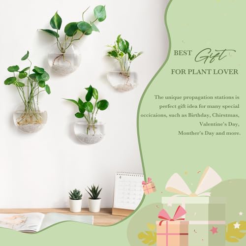 Mkono Wall Hanging Planter Propagation Station Glass Flower Vase for Hydroponics Plants, Bathroom, Home Office Living Room Decor Gift, Oblate Set of 4