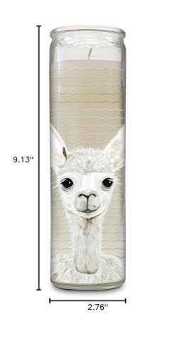 Scented Cathedral Candle by Studio Oh! - 13-Ounce Soy-Blend Wax Pillar Candle in Decorative Glass Container - Passion Fruit - Burns up to 115 Hours