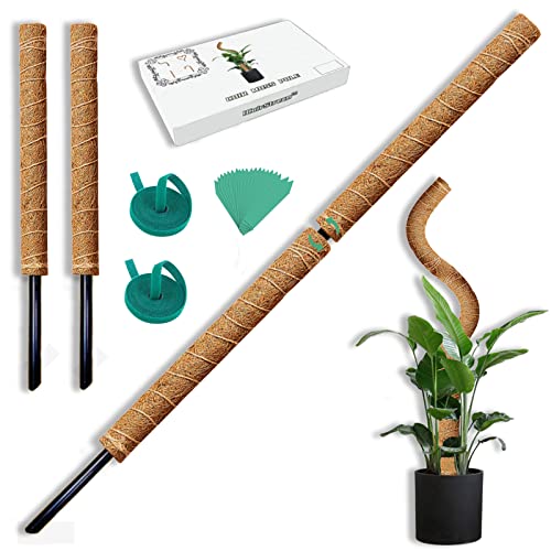 ICoirstream Coir Moss Pole Plant - 2 Pcs 31.5 Inch Coir Moss Pole Bendable and Stackable to 55 Inches - Use Alone or Together. Support Poles for Indoor Climbing Plants