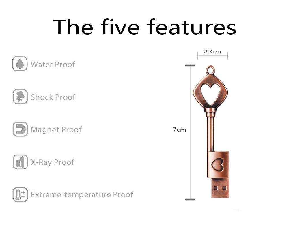 GARRULAX USB Flash Drive, 8GB / 16GB / 32GB / 64GB USB 2.0 Metal USB Memory Stick Date Storage Pendrive Thumb Drives (64GB, Heart Key)