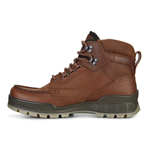 ECCO Men's Track 25 Gore-Tex Mid Hiking Boot, Bison/Bison, 47 M EU (13-13.5 US)