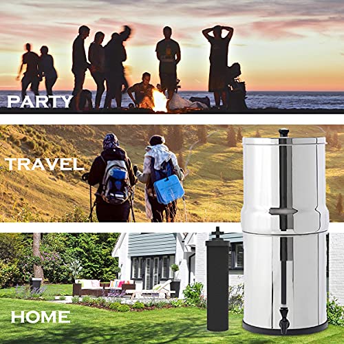 IT'S PURE EXPERT Water Filter, Replacement for Gravity Water Filter System, Black Purification Elements, 2 Packs
