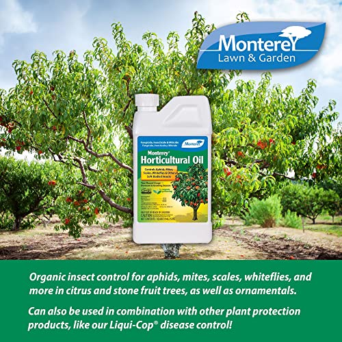Monterey LG 6299 Horticultural Oil Concentrate Insecticide/Pesticide Treatment for Control of Insects, 32 oz