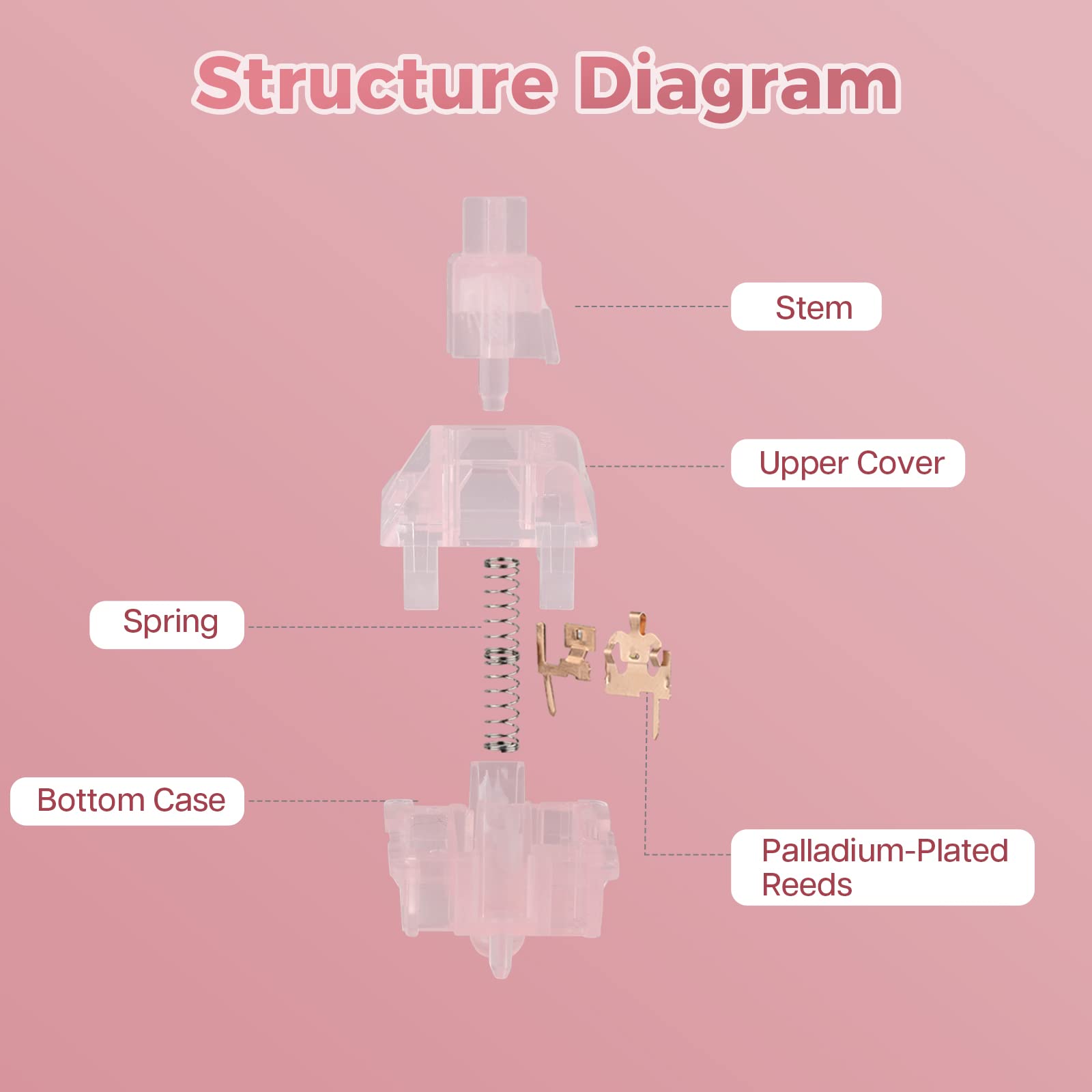 KiiBoom Linear 38gf Pink Rose Mechanical Keyboard Switch, 5 Pin Keyboard Switch with PC Stem, Translucent PC Housing, 35 Pieces for Gaming DIY Keyboard