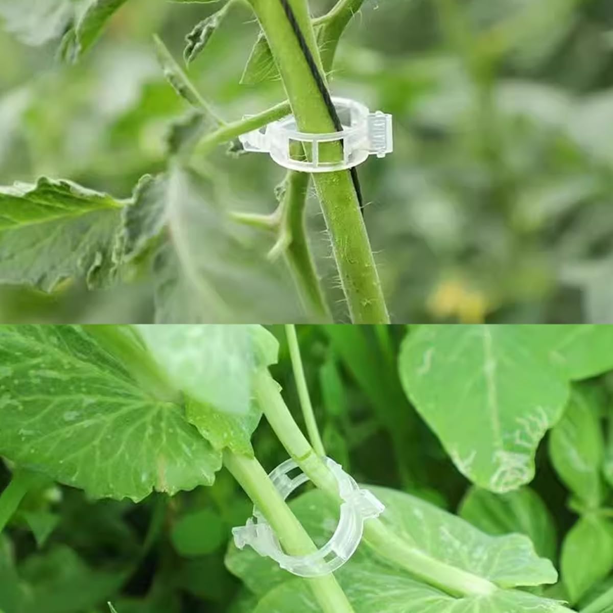 GXXMEI 302PCS Plastic Trellis Plant Support Clips for Support, Grape And Tomato Vine, Vegetables Plants, Garden lips to Grow Upright Makes Plants Healthier