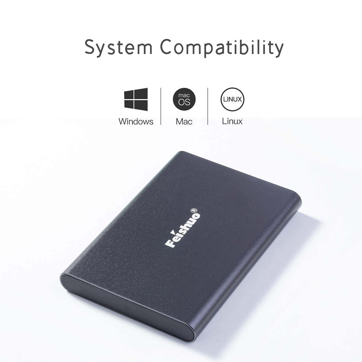 FEISHUO Portable External Hard Drive USB3.0 SATA HDD Storage (120G, Gray)