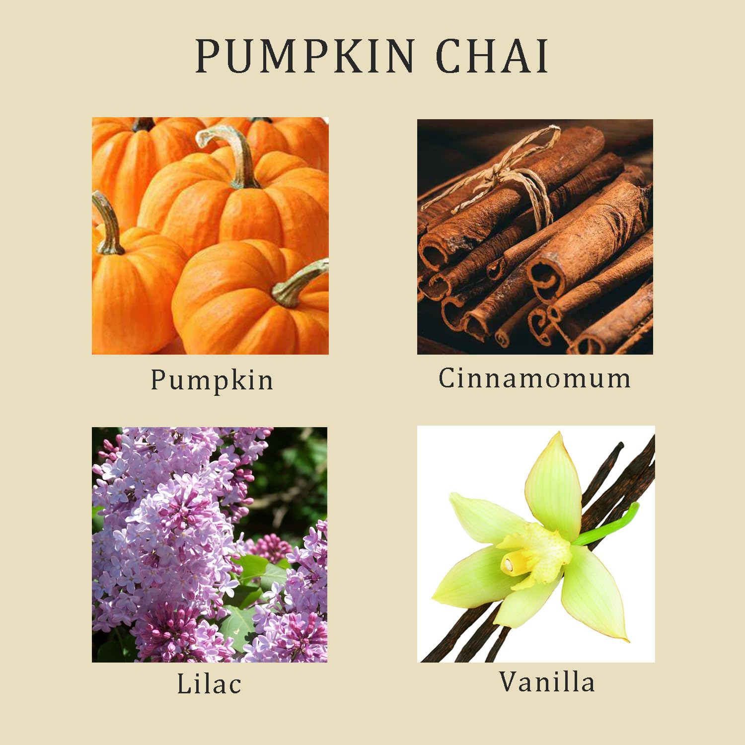 Pumpkin Chai Candle, Fall Candle for Home Scented, Autumn Candles for Women & Men, House Warming Gift, Small Candle Jar, 4.2 Ounce, 28Hour Burn Time, Halloween Candles Gift