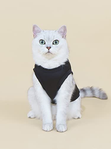 QWINEE 3pcs Dog Shirt Tank Top Puppy Vest Dog Cat Basic Shirts Clothes for Small Medium Dogs Kitten Kitty Multicolor M