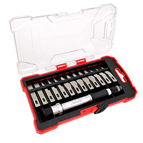 HAUTMEC 14 in 1 Hobby Knife Craft Knife Set SK5 for DIY Art Work Cutting - 1 Handles and 13 Spare Blades with Storage Case for Craft, Hobby, Carving, Art Modeling and Scrapbooking HT0109-HK