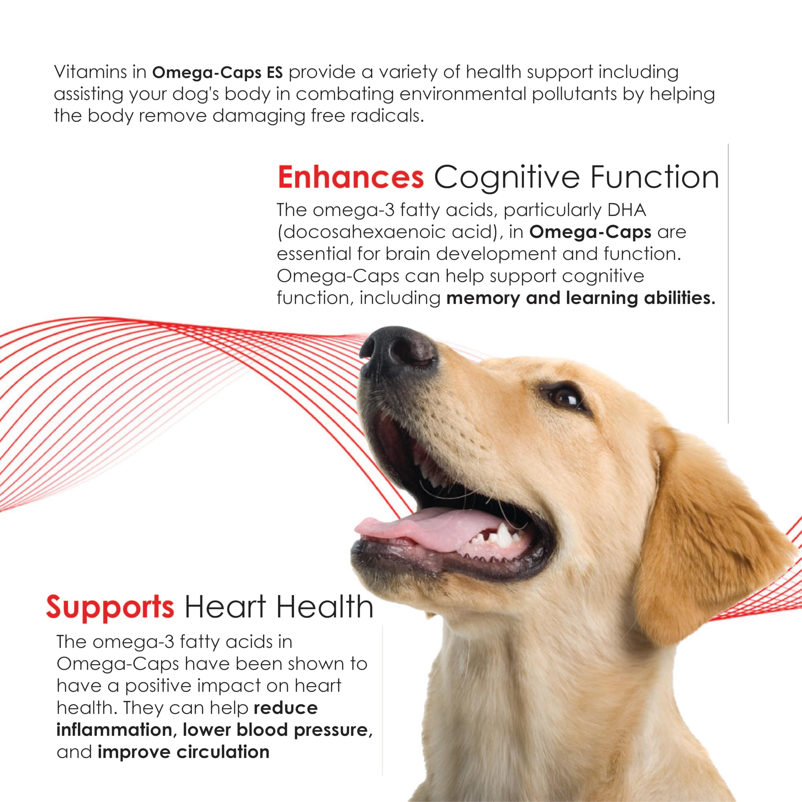 Omega-Caps Extra Strength for Large Breeds-Vet Formulated for Healthy Radiant Skin & Coat While Reducing Excess Shedding. Contains Omega 3 for Immune System Support, Easy to Dose, 60 Soft Gel Capsules