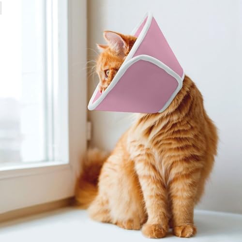 Rainbow Sheep of The Family LGBT Pride Comfortable Dog Cone Cat Collar Adjustable Prevent from Licking Wounds L