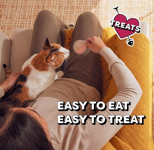 Temptations Lickable Spoons Adult Wet Cat Treat, 10 Grams, Variety Pack of 24