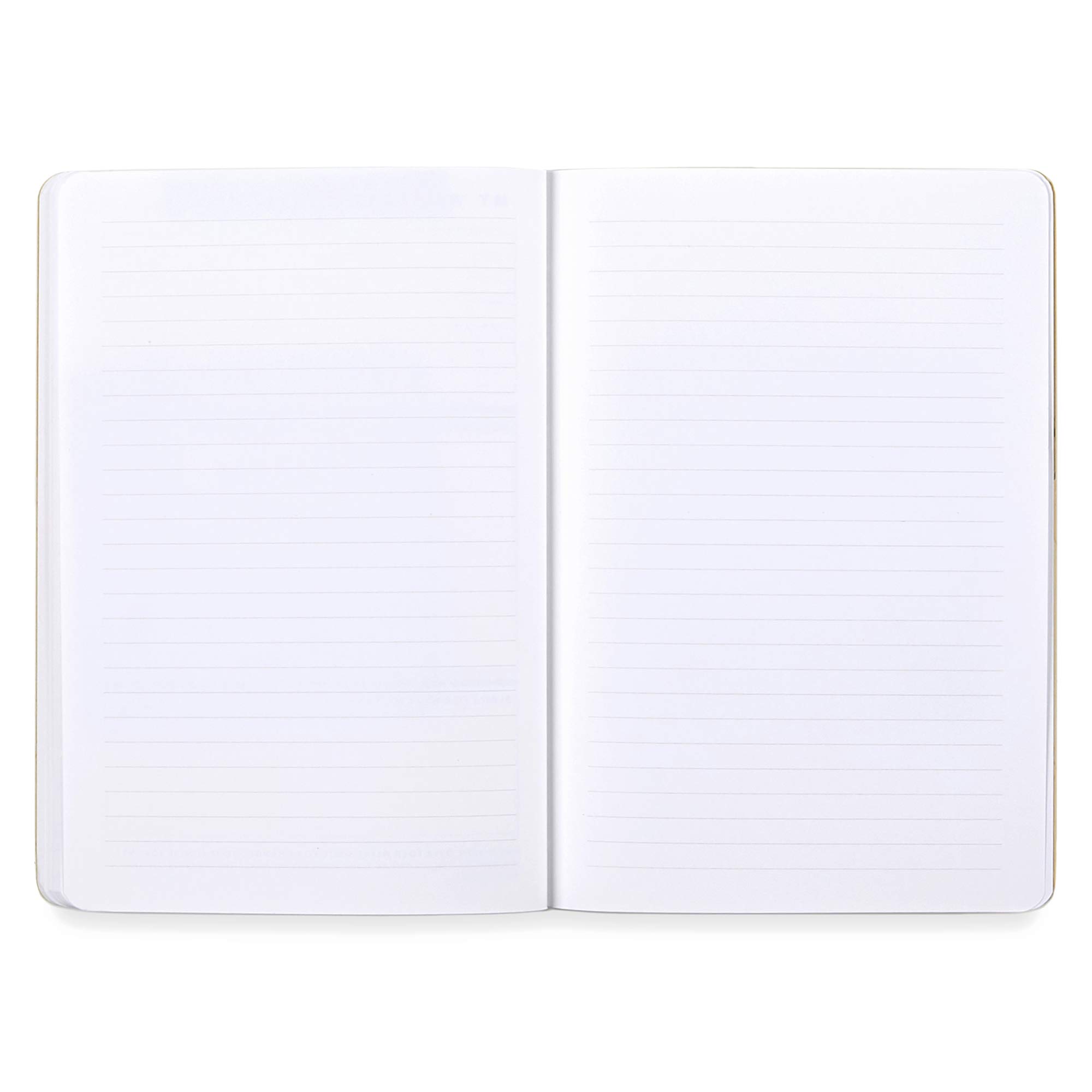 Focused Wellness Log, Petite Planner & Agenda. Features Sleep Log & Tracker, Water Intake, Step Track & Health Goal Log. Includes Motivational Sticker Set by Erin Condren