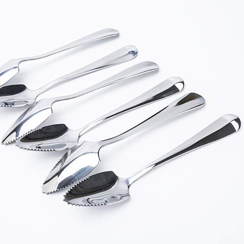 JUCOXO Grapefruit Spoons Set, 4 Pieces 6.1 inch Stainless Steel Half Serrated Citrus Fruit Vintage Dessert Spoons Gift for Kitchen