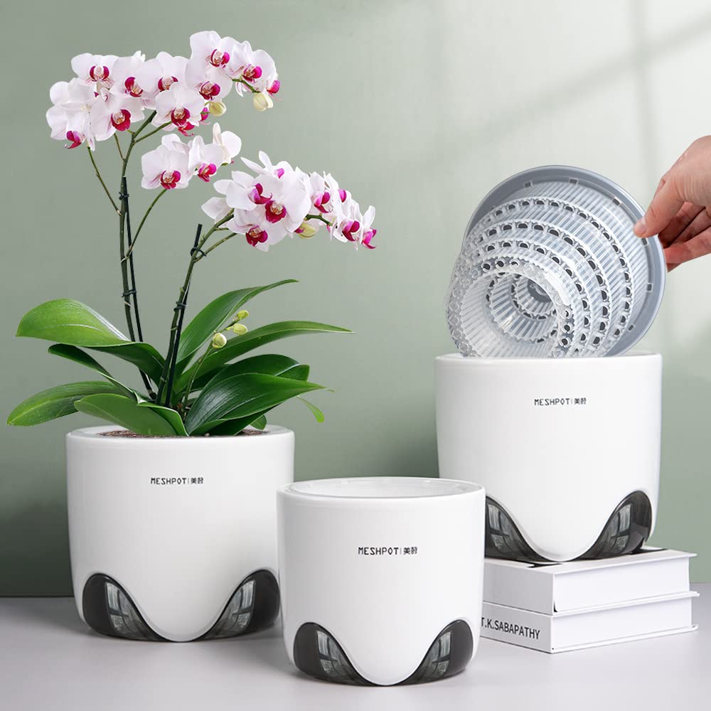 Meshpot 6 inch Orchid Pots with Holes,Set of 2,Double Layer Plastic Imitate Ceramic Orchid Planter Provide Good Air Circulation,Clear Orchid Pot Match Decorative Orchid Container